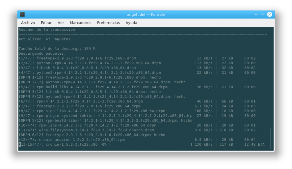 Qué hacer después de instalar Fedora 29 - Angel Yocupicio